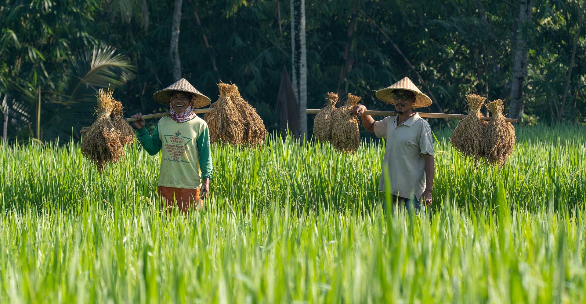 Begawan Giri: Regenerative Farming | Begawan Organisation