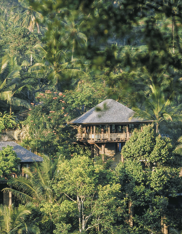 About Us | Begawan Foundation