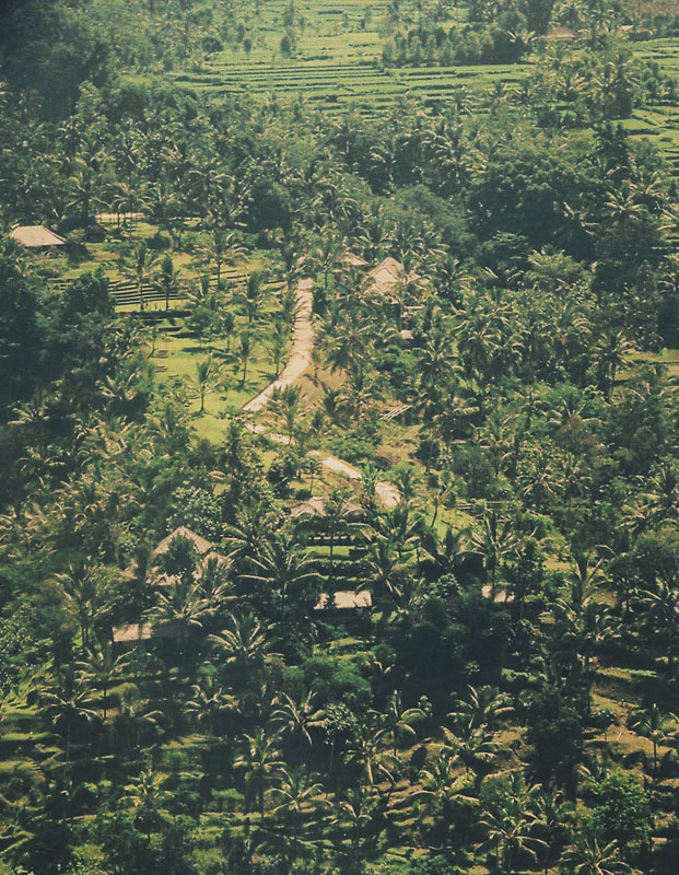 About Us | Begawan Foundation
