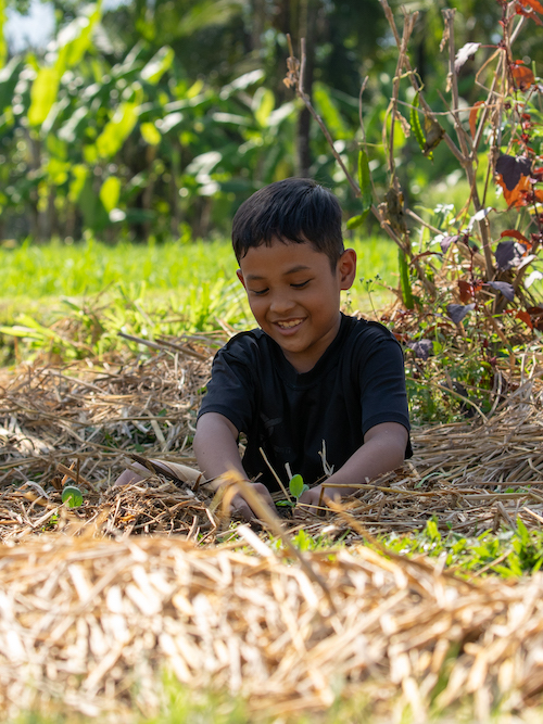 Begawan: Empowering rural communities in Bali through education
