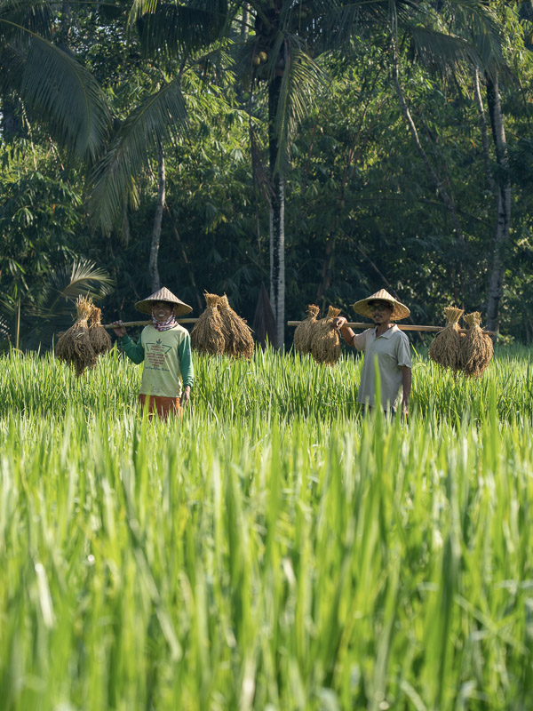 Begawan: Empowering rural communities in Bali through education